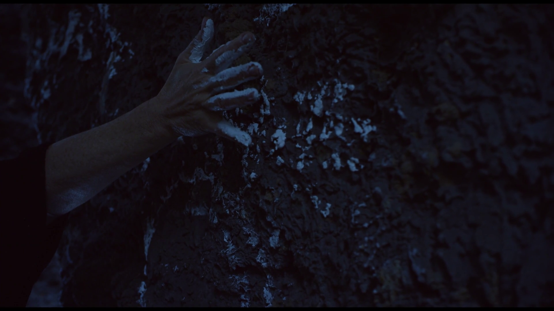 Woman Hand Painting On Tree Drawing Satanic Stock Footage SBV-348469044 ...