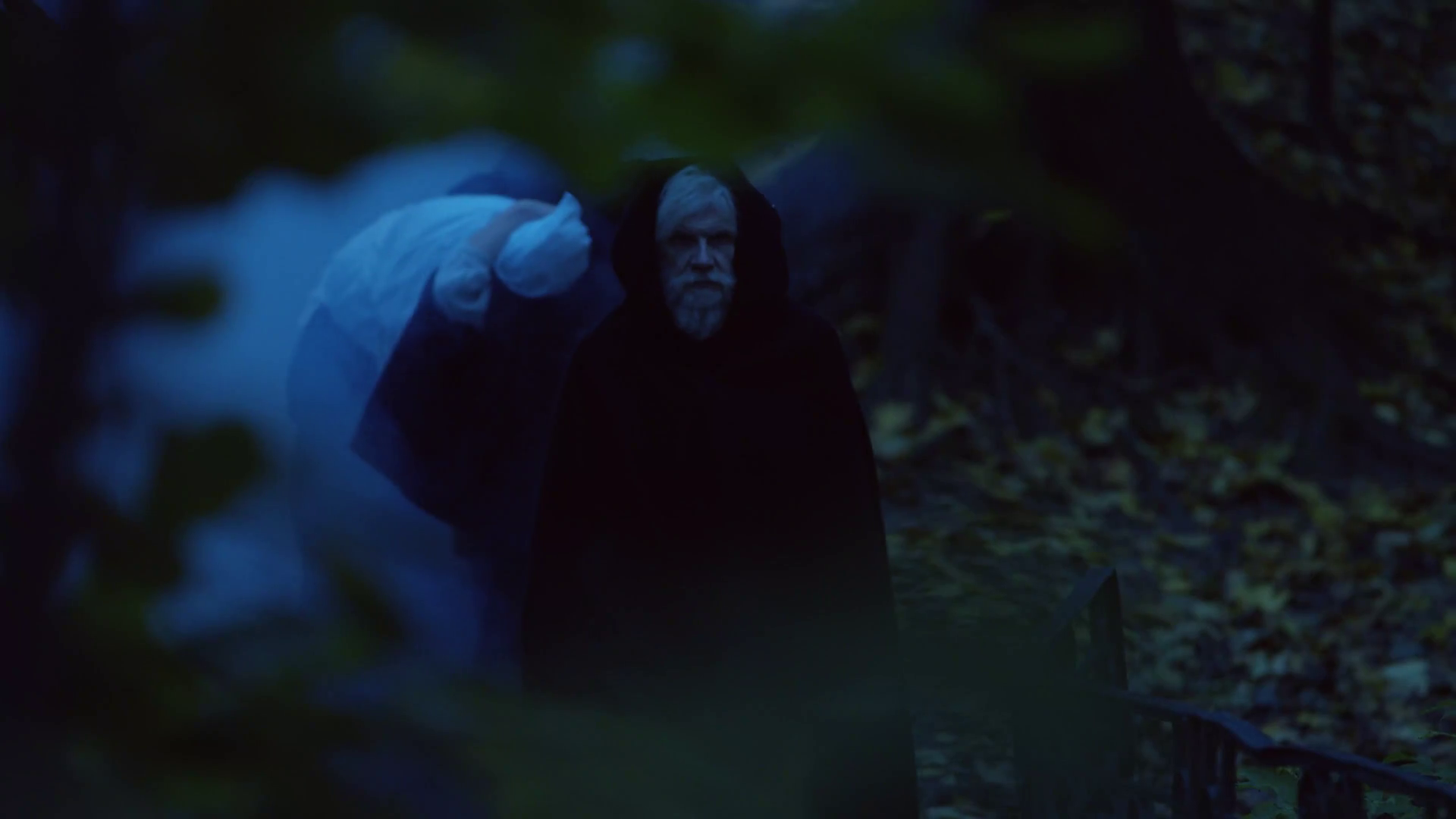 Terrifying Encounter With Bearded Man In Stock Footage SBV-348476824 ...