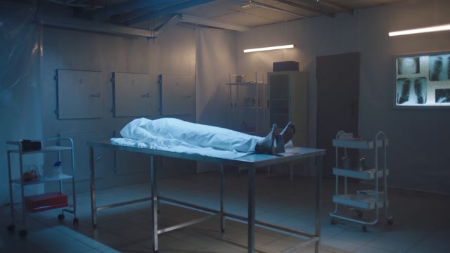 Coroner Bed Stock Footage: Royalty-Free Video Clips - Storyblocks