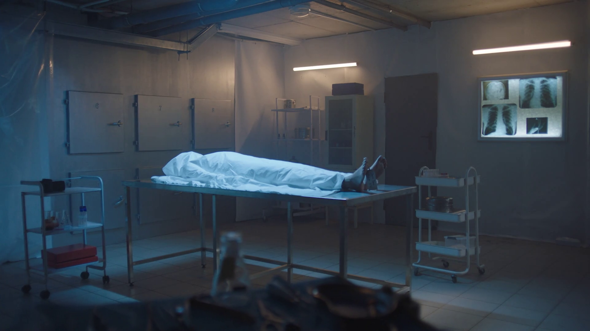 Dead Body In Morgue Body Corpse Morgue Stock Footage SBV-348731127 - Storyblocks