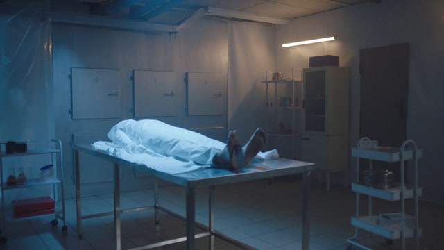 Dead Bodies Morgue Stock Footage: Royalty-Free Video Clips - Storyblocks