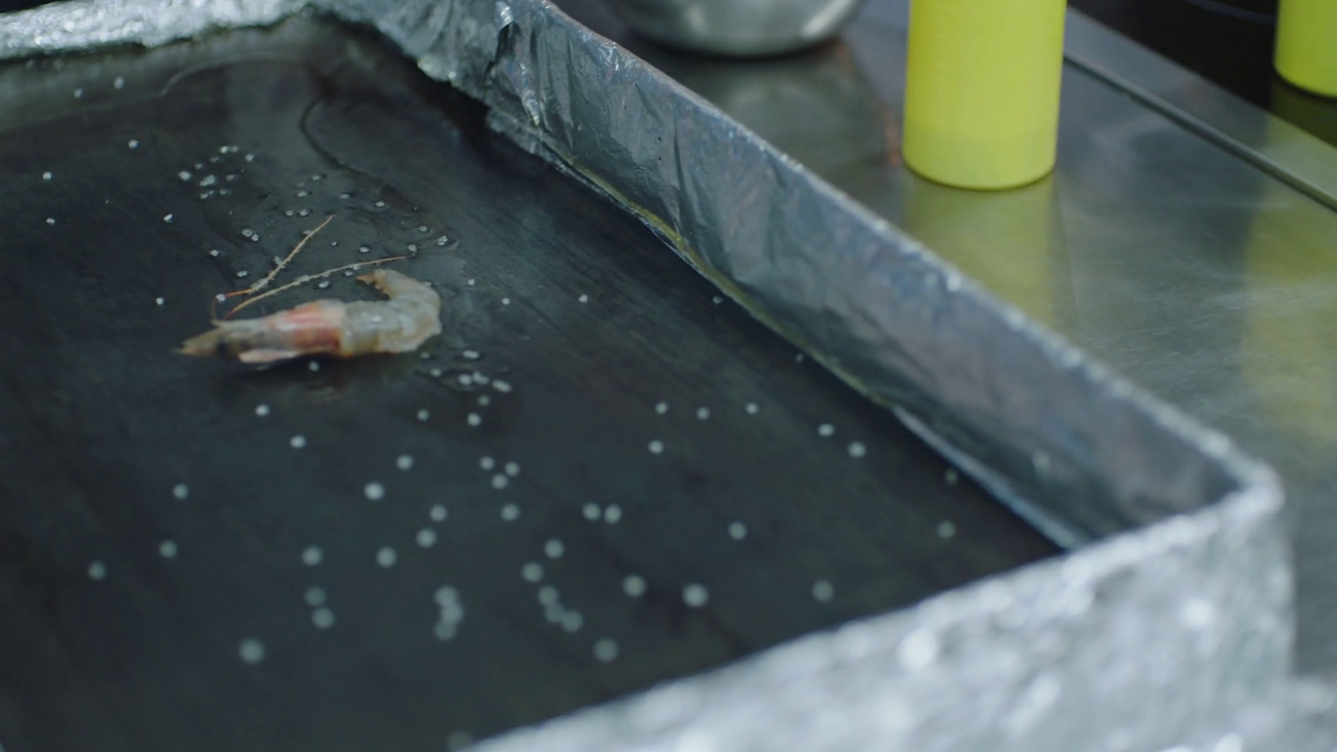 Expert Chef's Delicate Prawn Preparation: Stock Footage SBV-348537819 ...