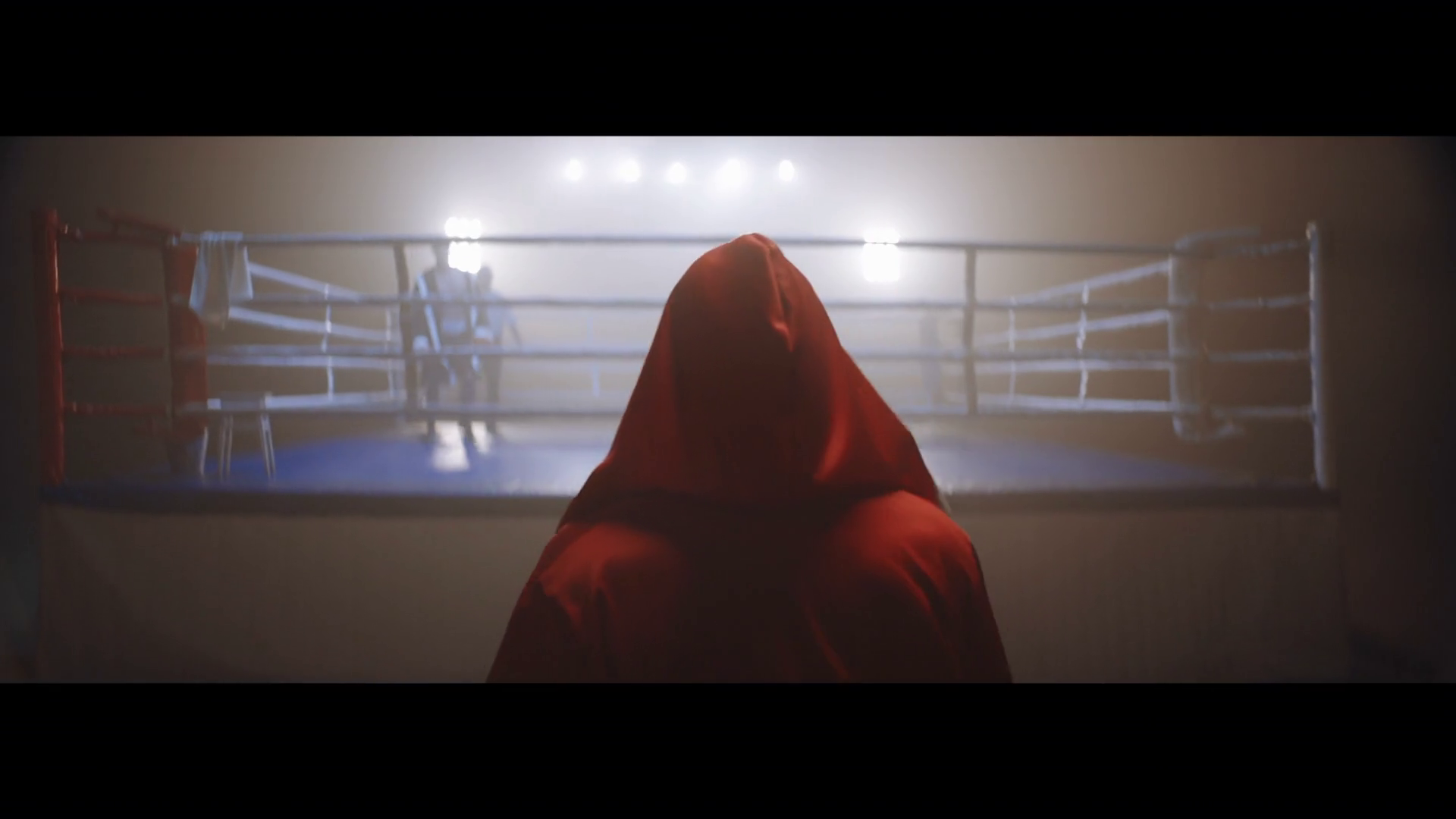 Boxing Boxing Ring Boxer Boxing Robe: Boxing Stock Footage SBV ...