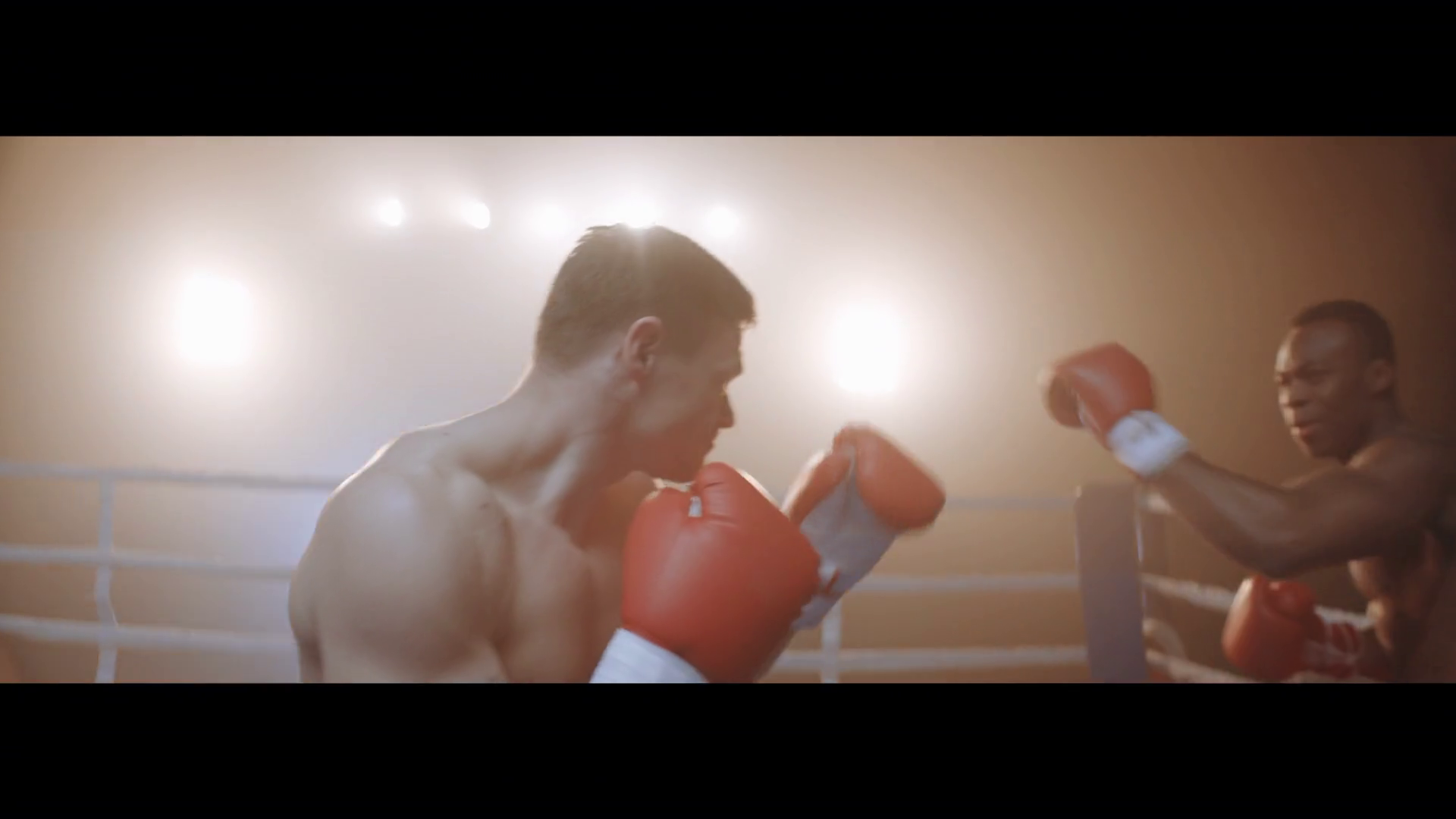 Boxers Showcase Strength Agility Compete In Stock Footage SBV-348442635 ...