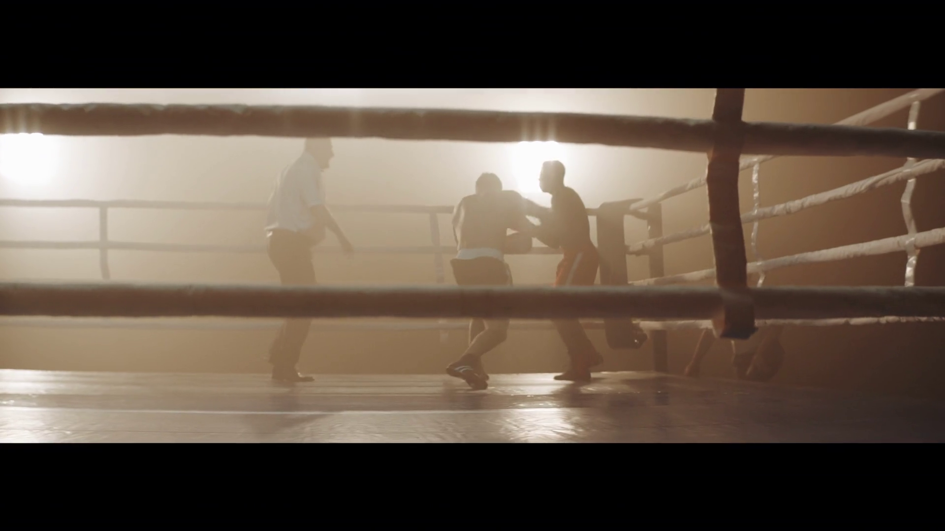 A Triumphant Boxer Winner Of Competition Stock Footage SBV-348442555 ...