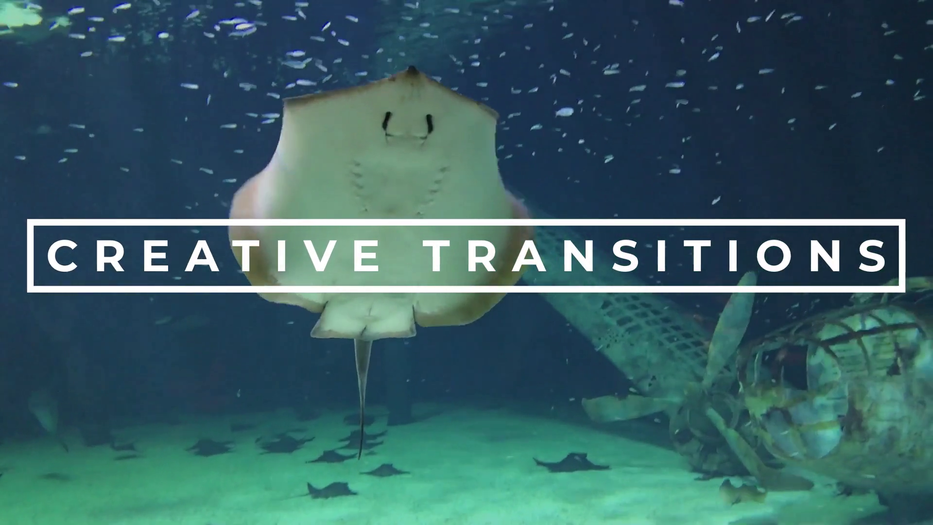 Creative Transitions Template SBV-347583048 - Storyblocks