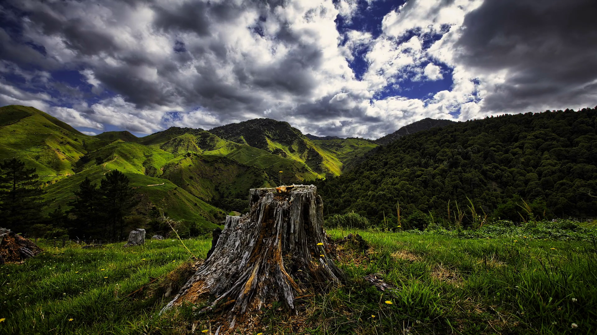 Primal Earth Images Sheep Farm Station Clouds Blue Sky Stock Video ...