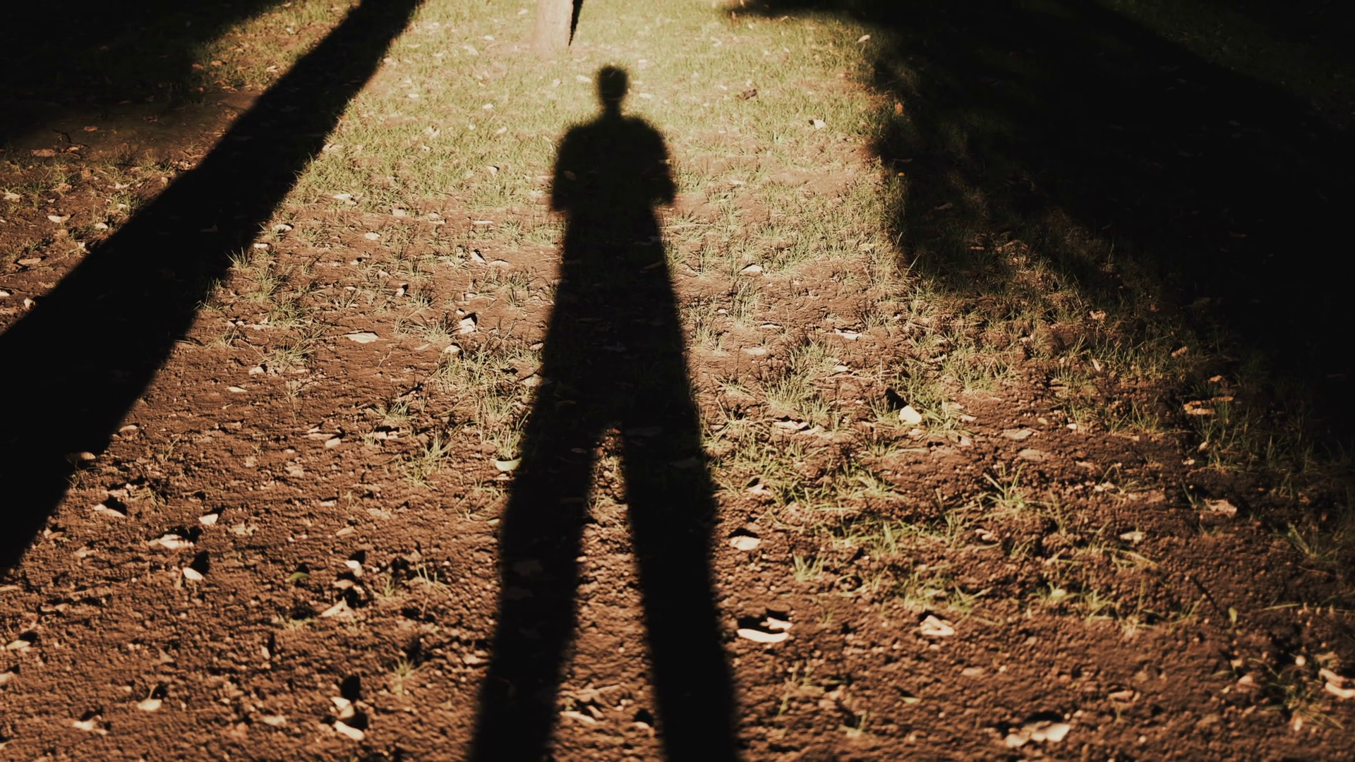Long Human Shadow Stretching On Earthy Stock Footage SBV-352910598 ...