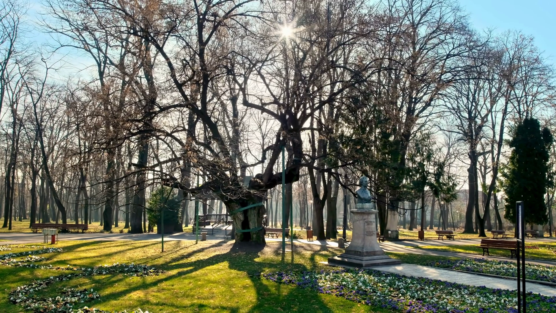 View Of Copou Park In Iasi Romania Mihai Stock Footage SBV-352499478 ...