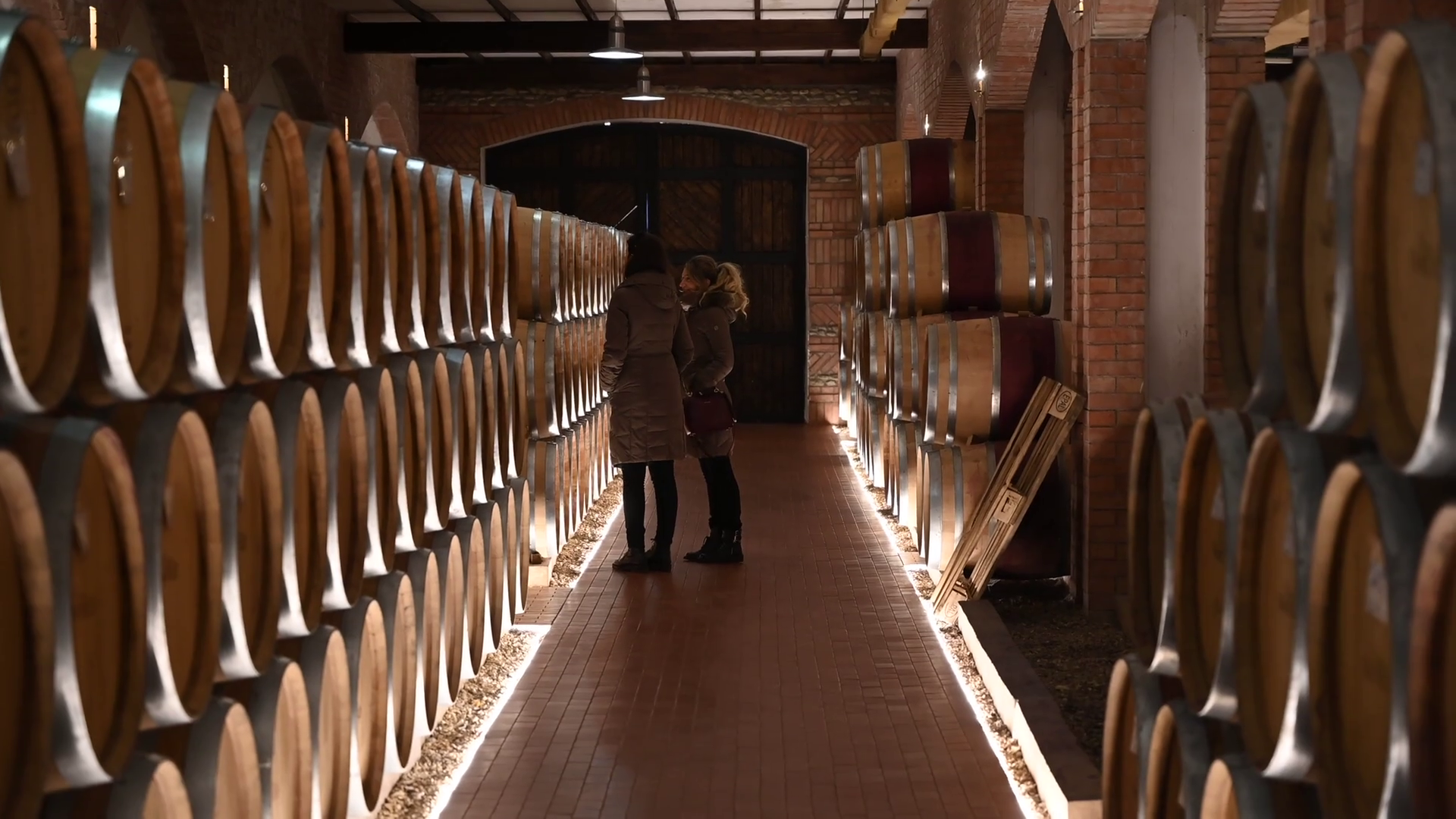 Two Women Talking Near Multiple Wine Barrels Stock Footage SBV ...