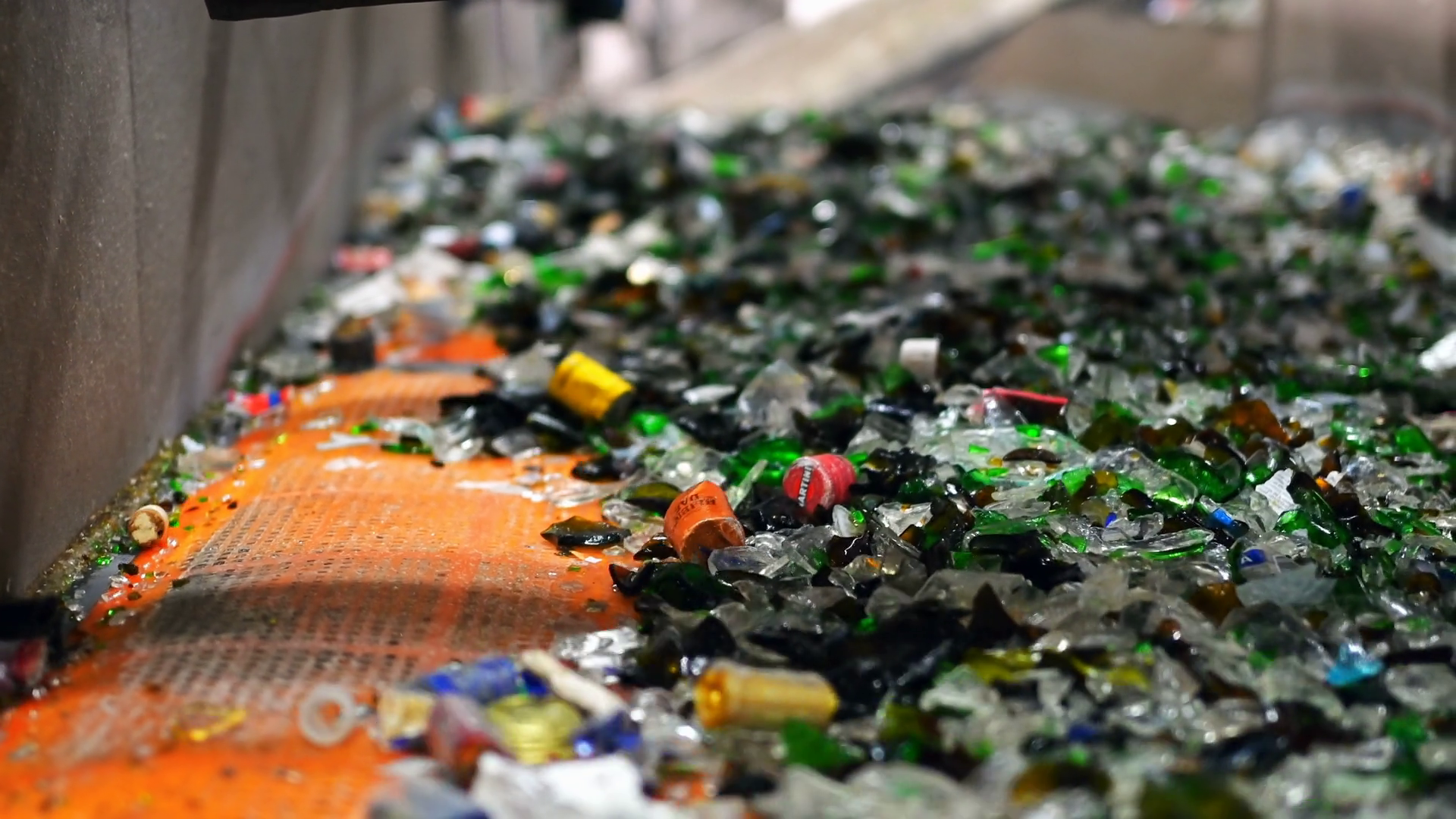 Process Of Sorting Glass Garbage On Stock Footage SBV-352380101 ...