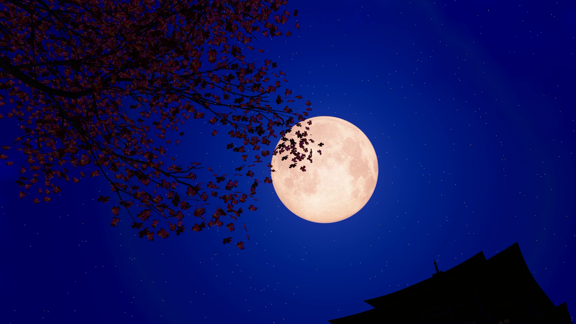 The Beautiful Scenery Of Moon Rising Into Stock Footage SBV-348568975 ...