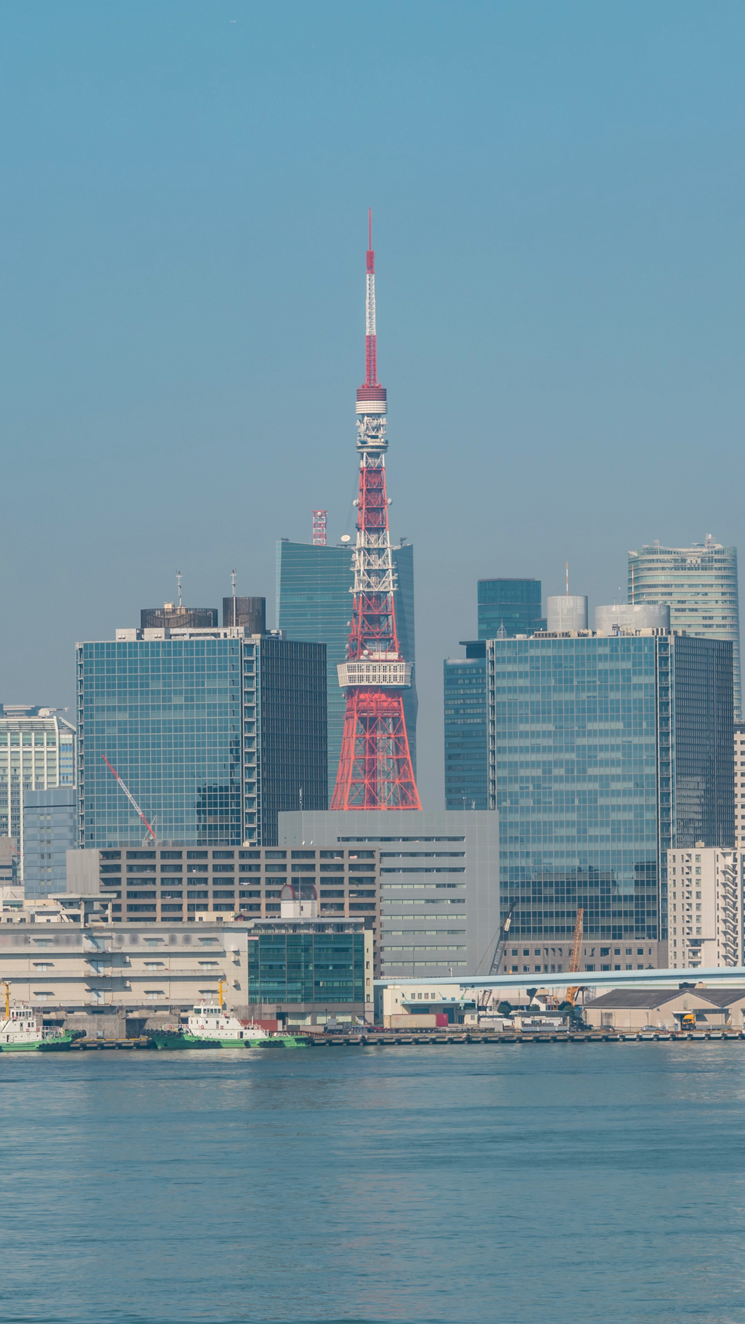 Tokyo Japan Time Lapse City Skyline At Stock Footage SBV-353102313 ...