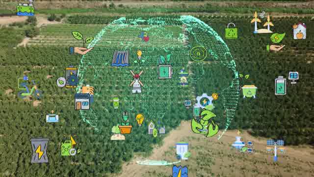 Ecological Field Stock Footage Royalty Free Video Clips Storyblocks