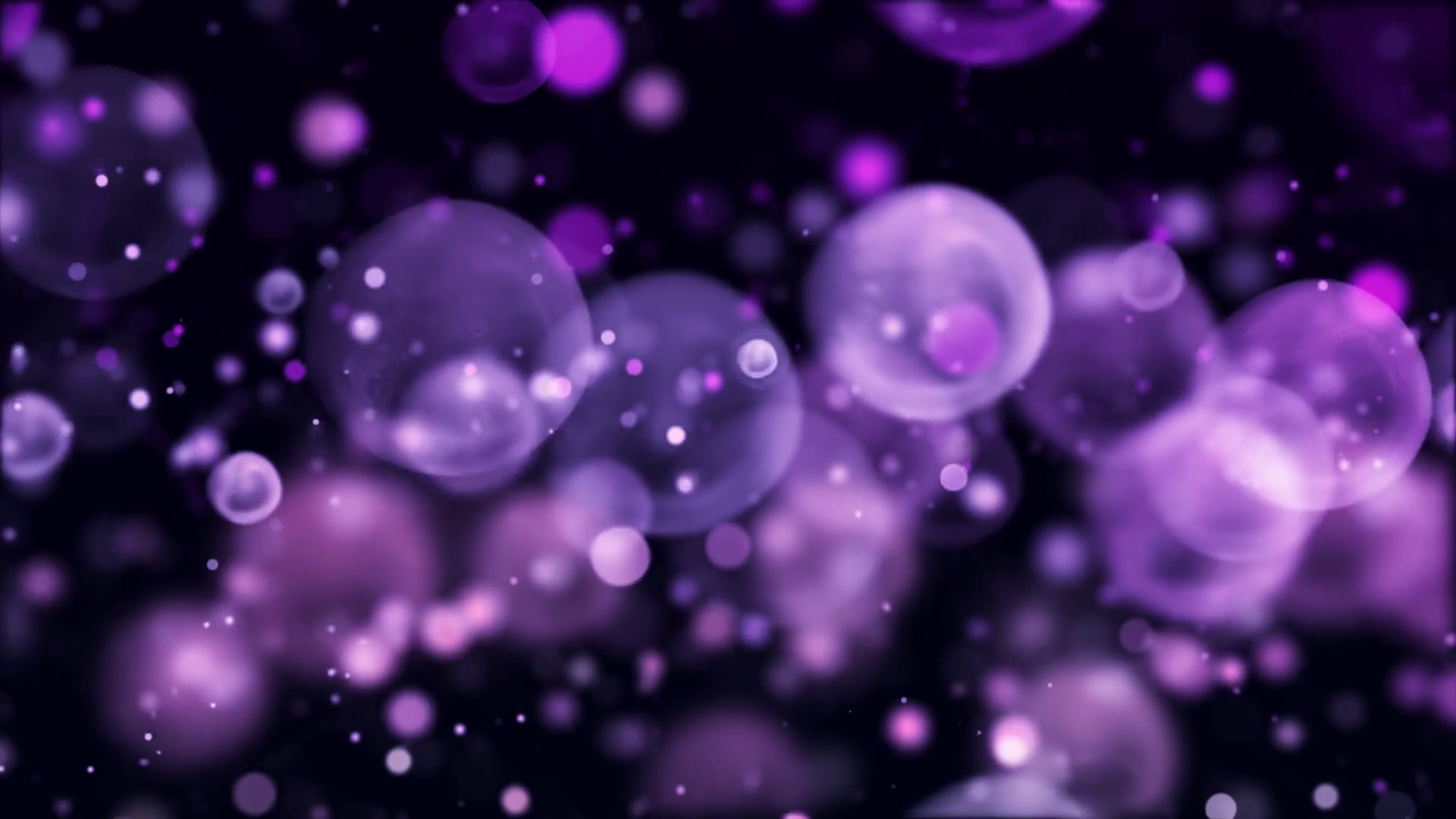 Bubbles Motion Background Stock Motion Graphics SBV-347703903 - Storyblocks
