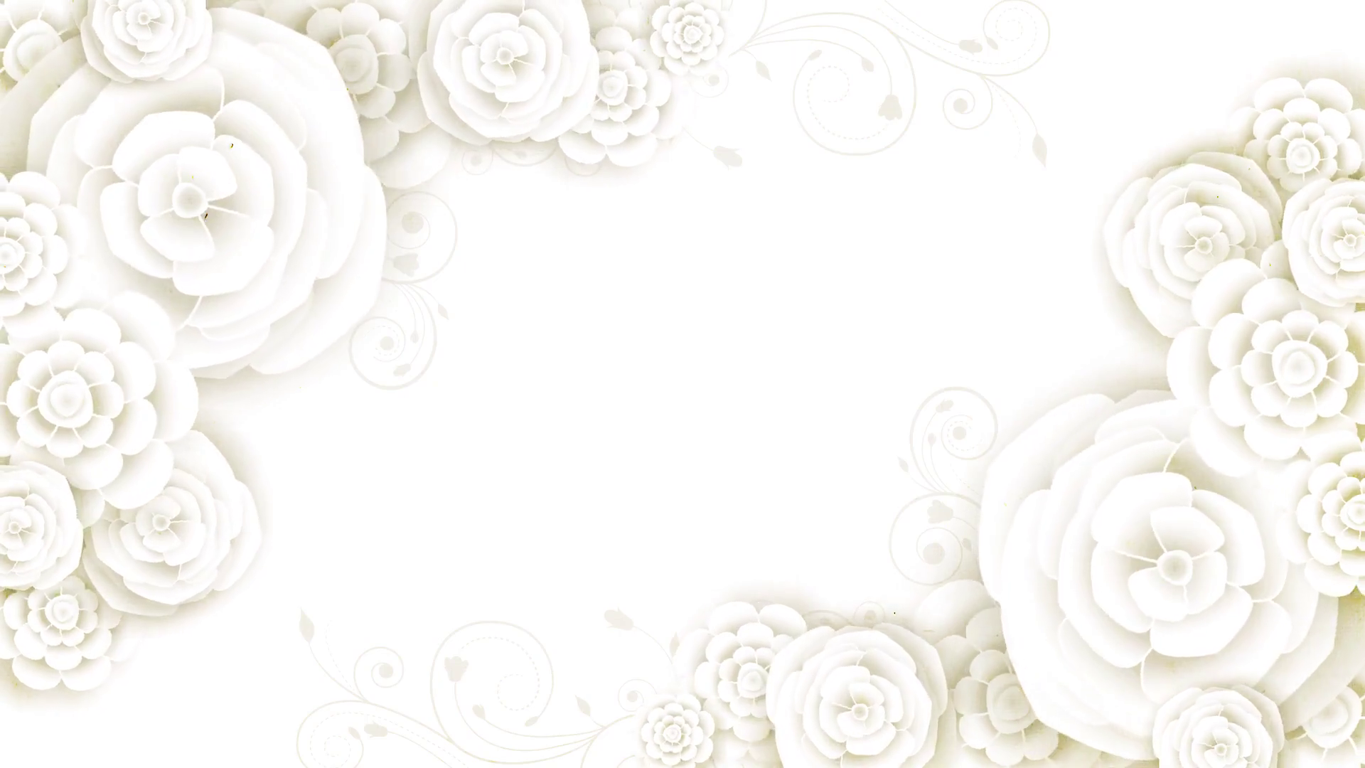 Clean White Romantic Flowers Motion Animation Stock Motion Graphics SBV ...