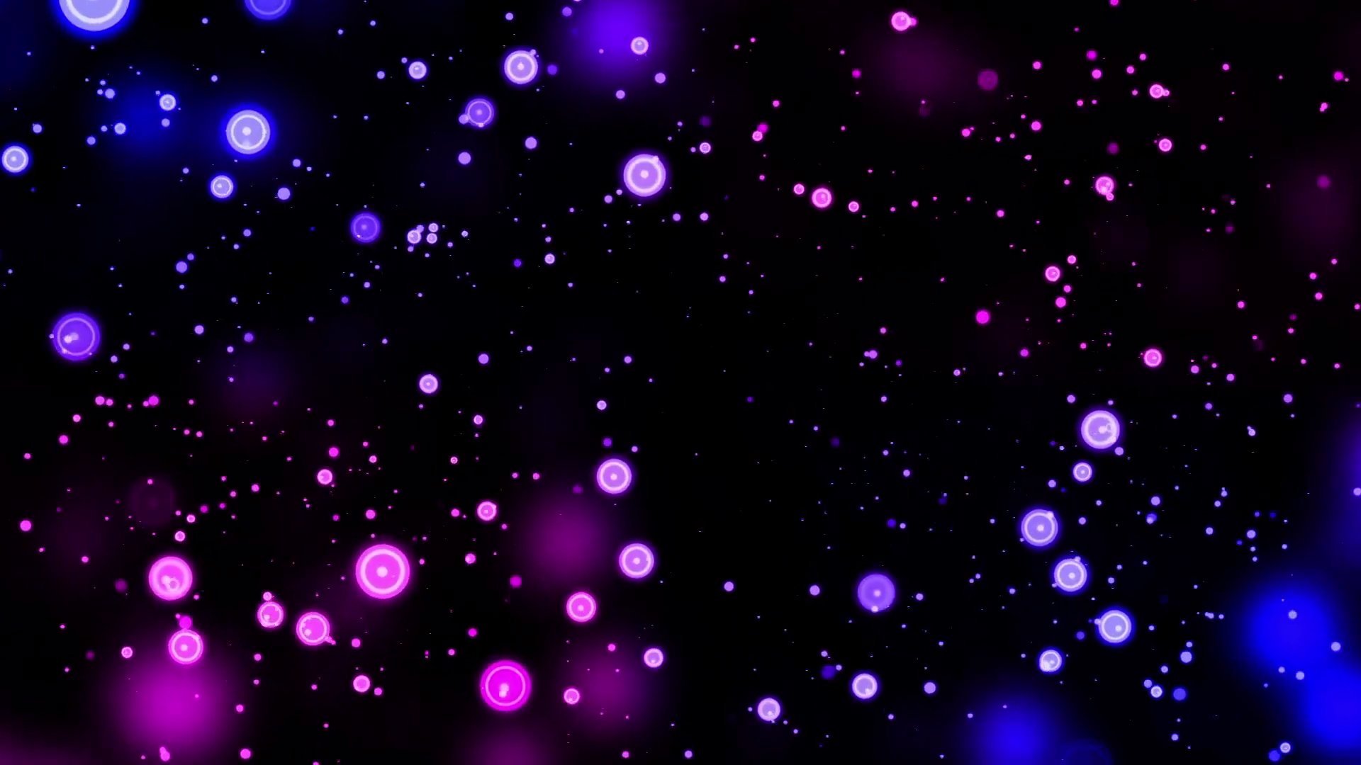 Pink Particles Moving Slowly Animation Stock Motion Graphics SBV ...
