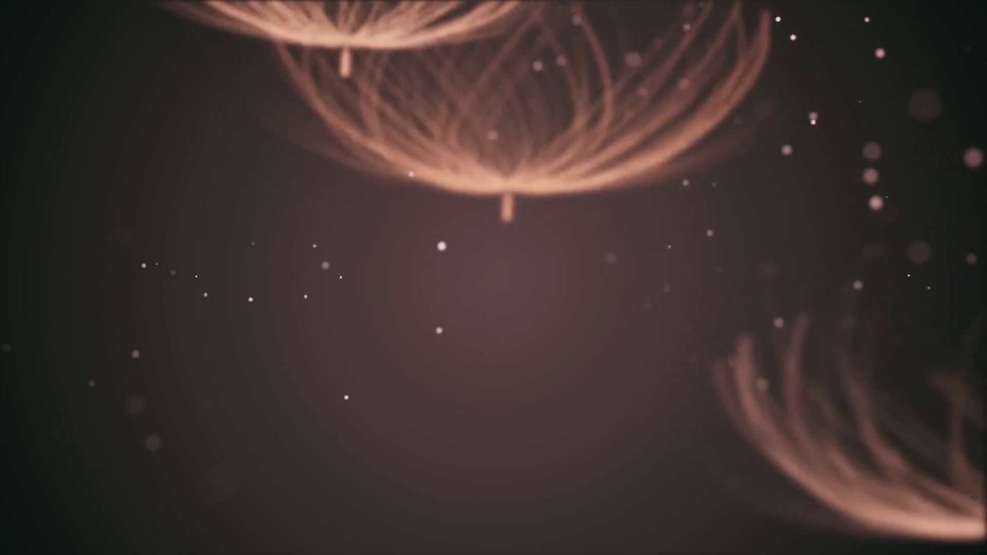 Glowing Lights Swirling Animation Background Stock Motion Graphics SBV ...