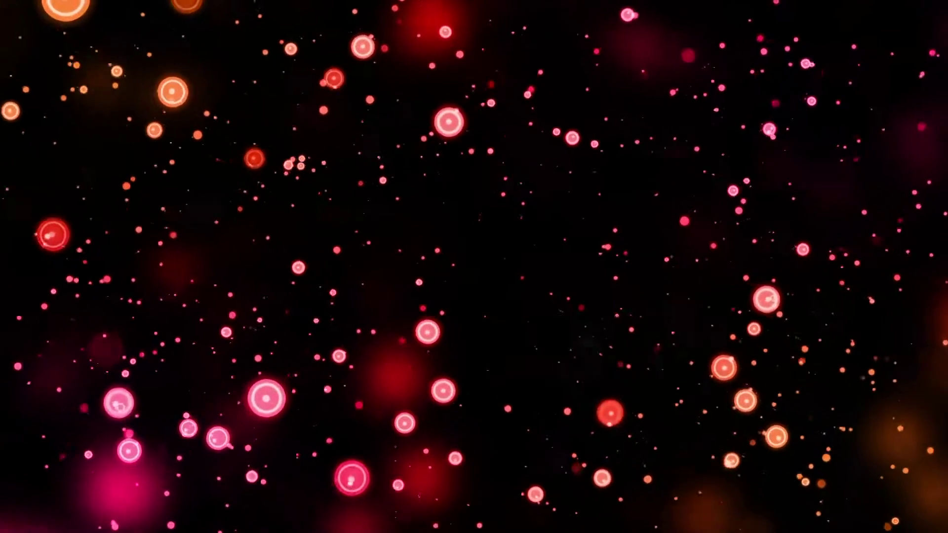 Red Particles Glow Bokeh Effect Animation Stock Motion Graphics SBV ...