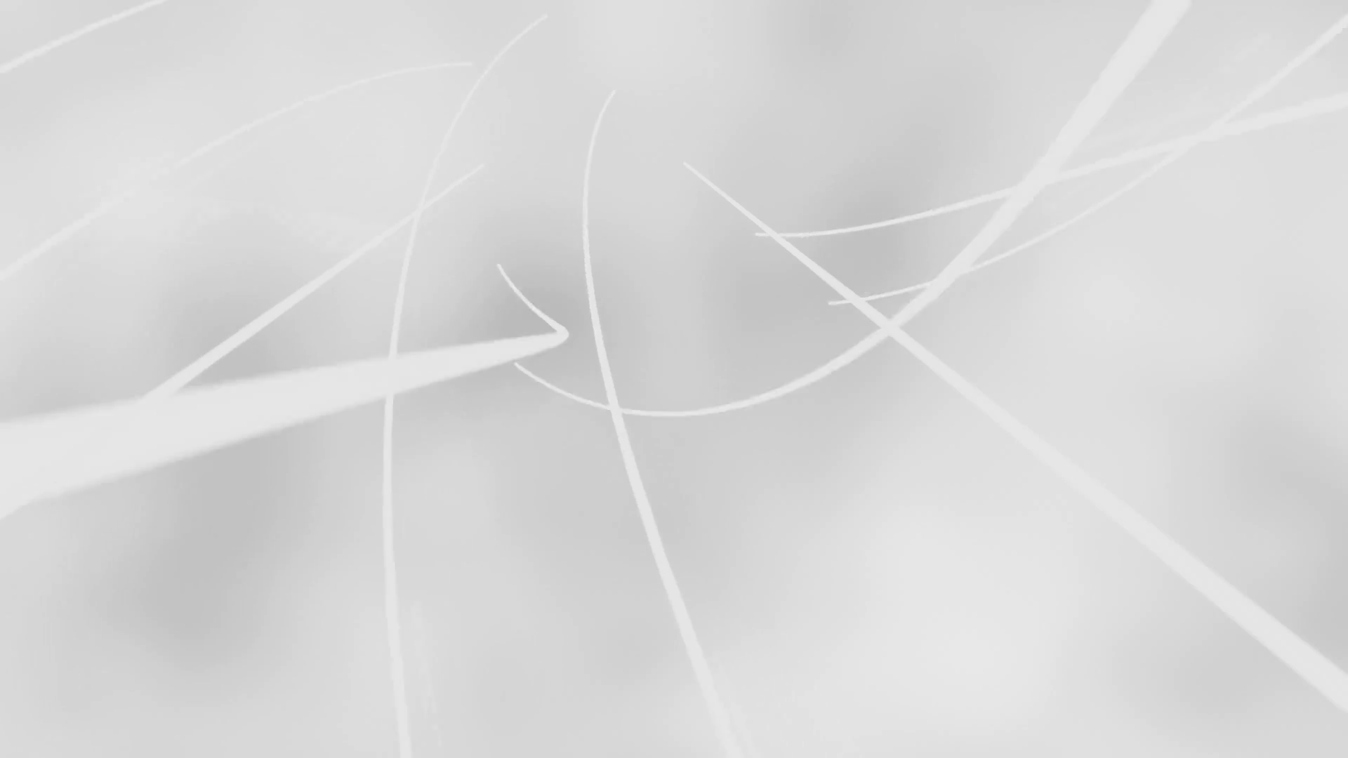 White Lights Lines Animation Background Stock Motion Graphics SBV ...