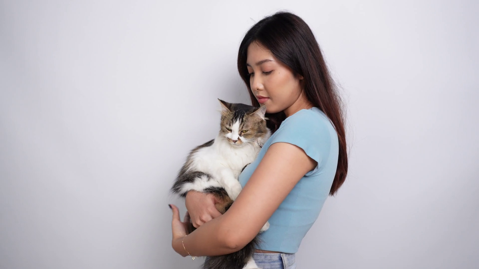 Young Asian Woman Hugging Cute Angora Cat Stock Footage SBV-348505302 ...