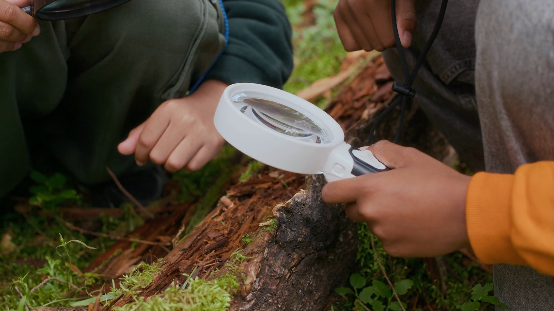Two Kids Using Magnifying Glasses To Study Stock Footage SBV-352752886 ...