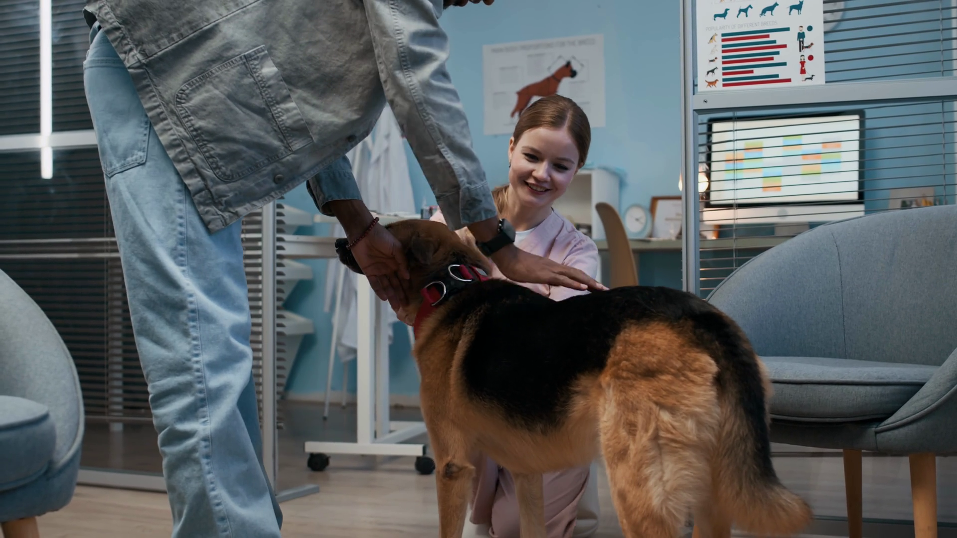 Young Friendly Caucasian Female Vet In Pink Stock Footage SBV-351824238 ...