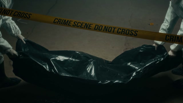 News Reporter Crime Scene Stock Footage: Royalty-Free Video Clips ...