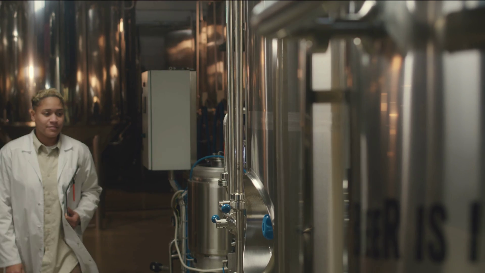 Medium Shot Of Biracial Female Brewery Stock Footage SBV-348858033 ...