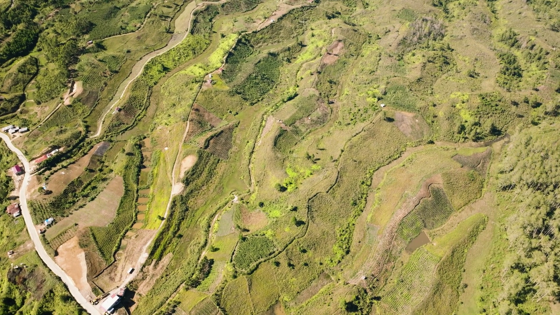 Farmland On Samosir Island Sumatra Indonesia Stock Footage SBV ...