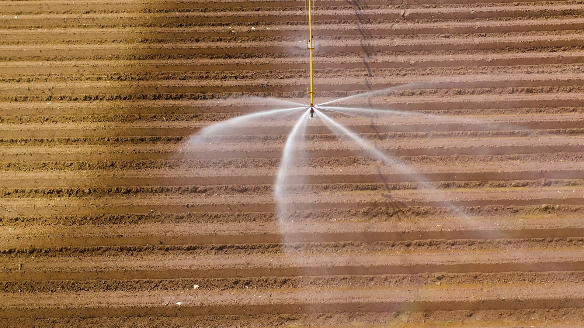 Aerial View Center Pivot Agriculture Stock Footage SBV-352246227 ...