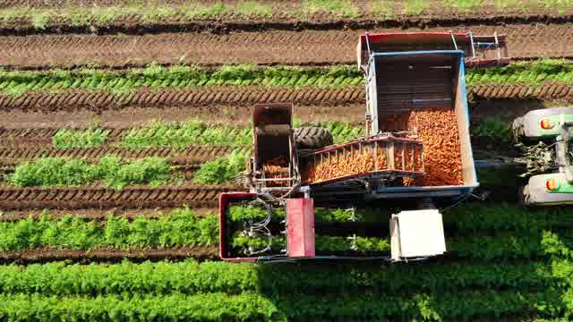 Food Agriculture Stock Footage: Royalty-Free Video Clips - Storyblocks