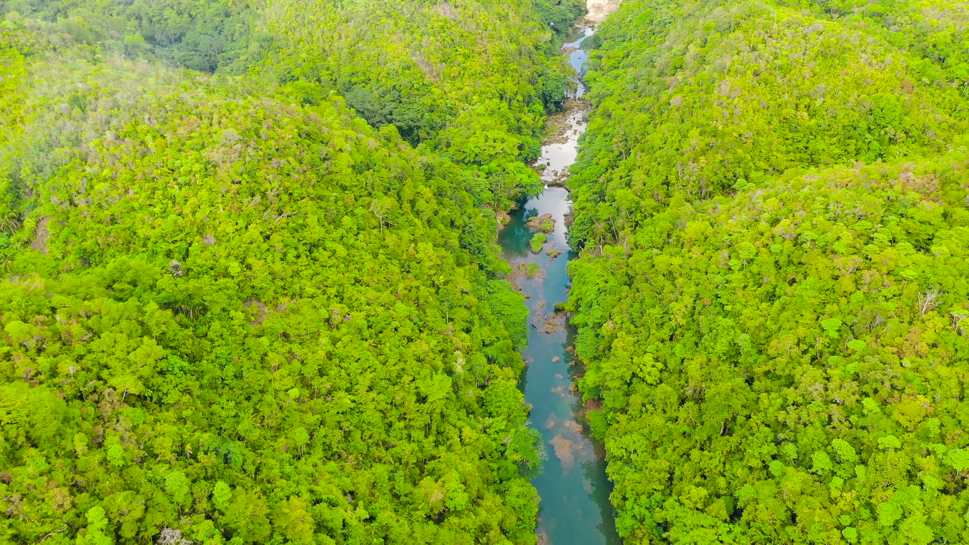 Aerial View Of Loboc River In Tropical Green Stock Footage SBV ...