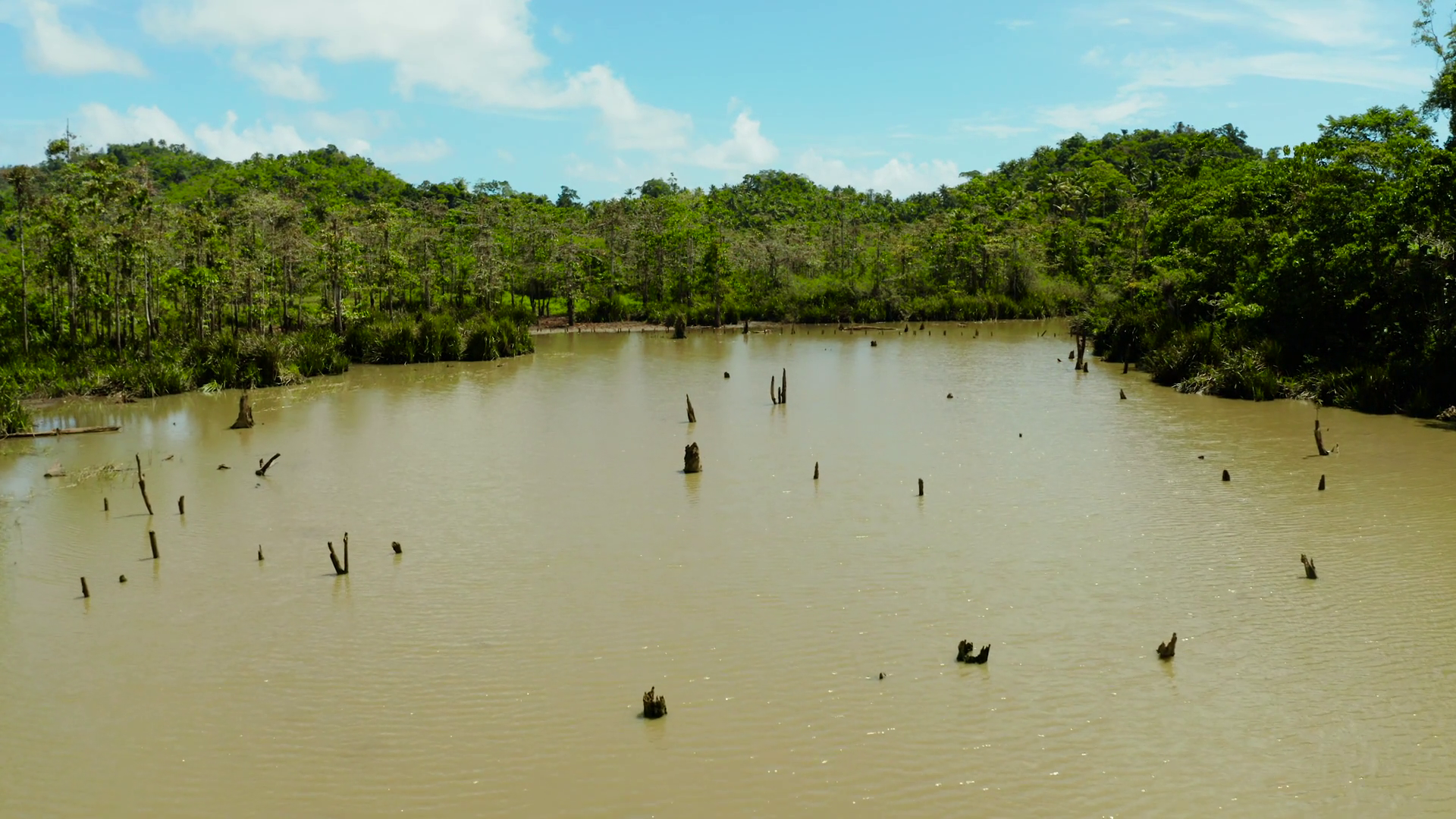 Pond Swamp In Jungles Of Philippines On Stock Footage SBV-352272860 ...