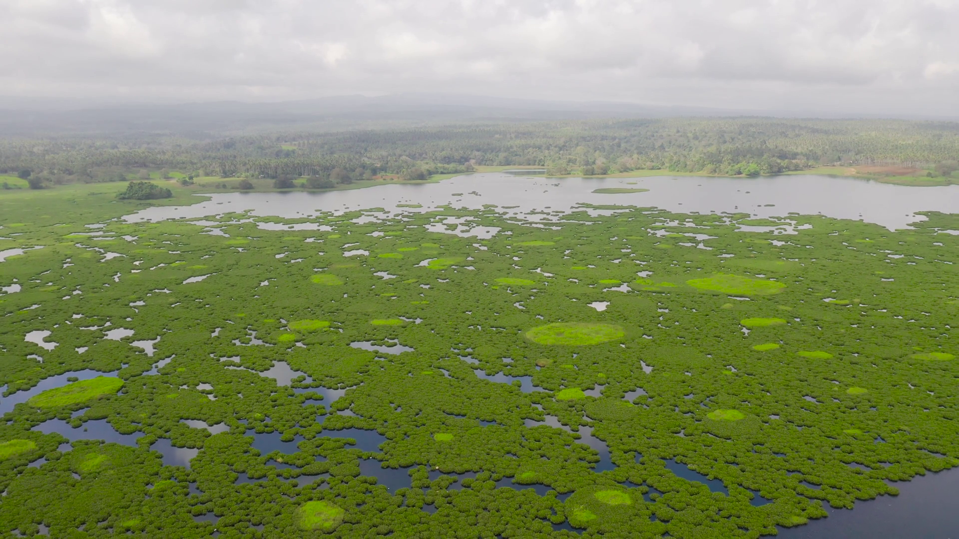 Aerial View Of Lake Baloi With Green Stock Footage SBV-353361442 ...