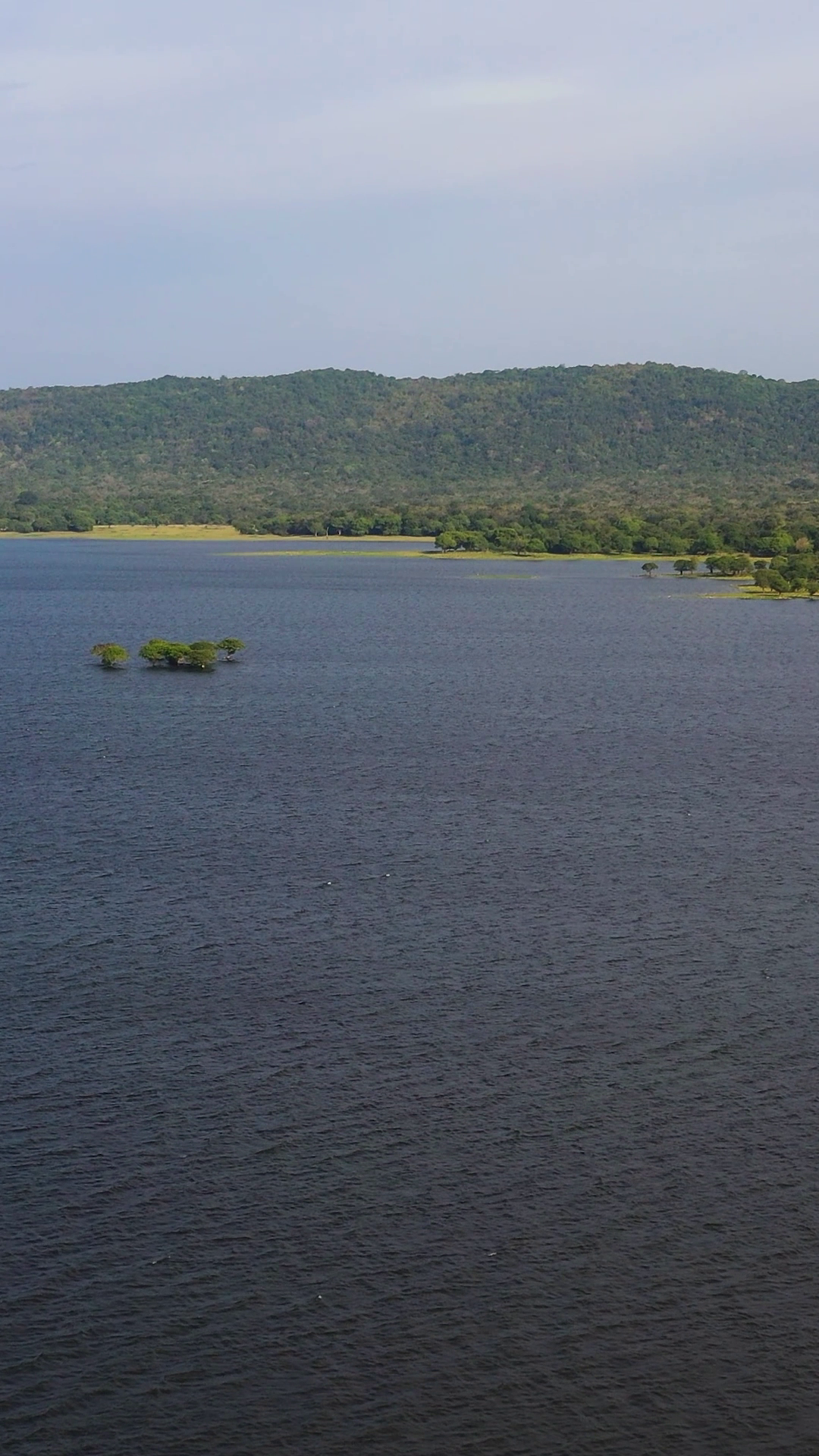 Lake Rainforest Along Shore Kantale Tank Sri Stock Footage SBV ...