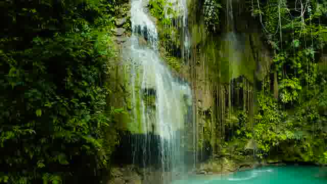 Belize Nature Stock Footage: Royalty-Free Video Clips - Storyblocks