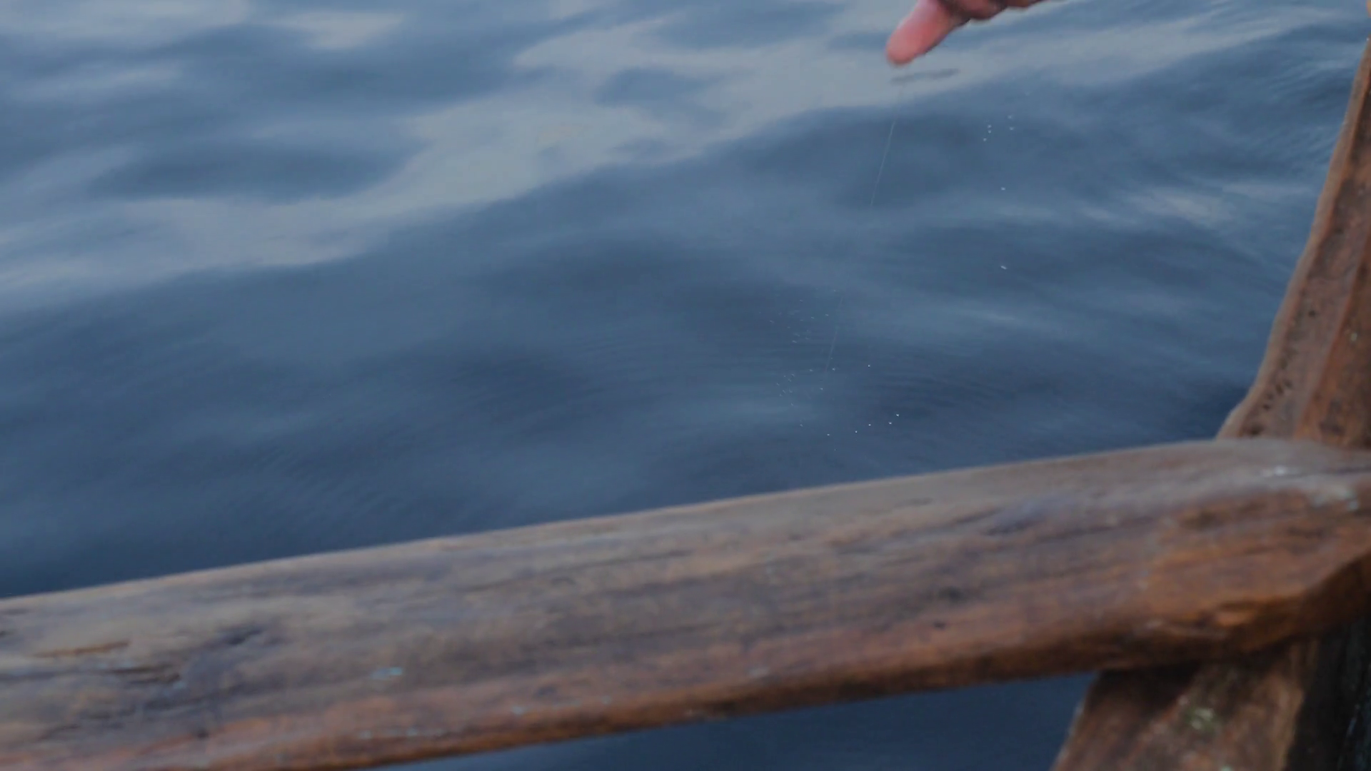 Fisherman Catches Fish From Boat Using Stock Footage SBV-347722489 ...