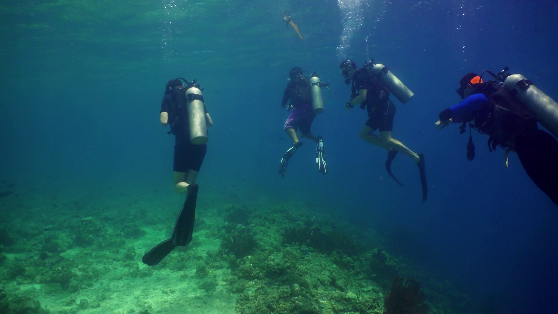 Divers Float To Surface Scuba Divers Stock Footage SBV-347735856 ...