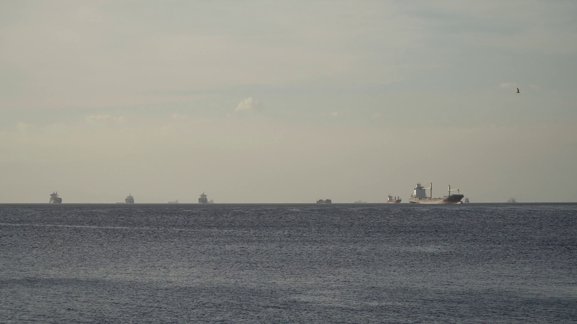 Cargo Ships In Bay Of Manila Large Container Stock Footage SBV ...
