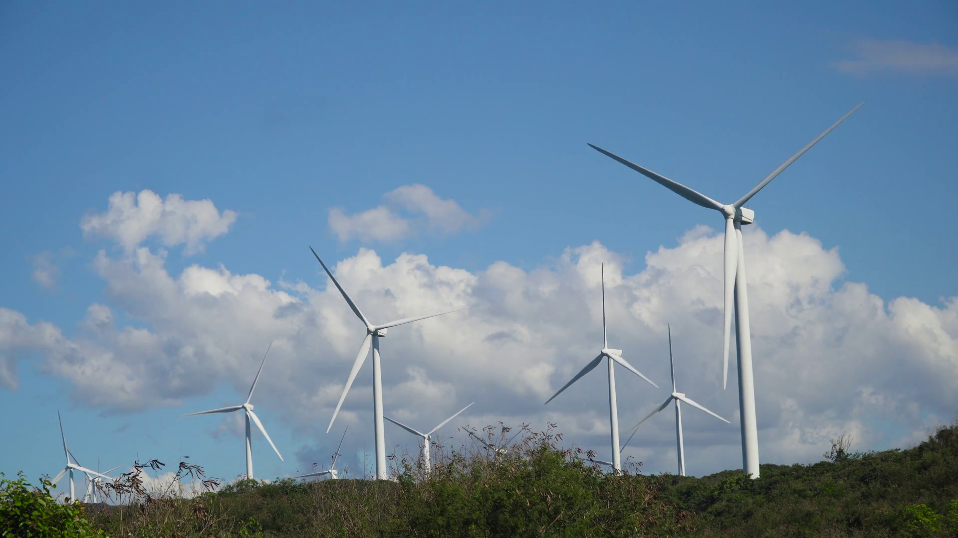 Windmills Electric Power Production Bangui Stock Footage SBV-347736611 ...