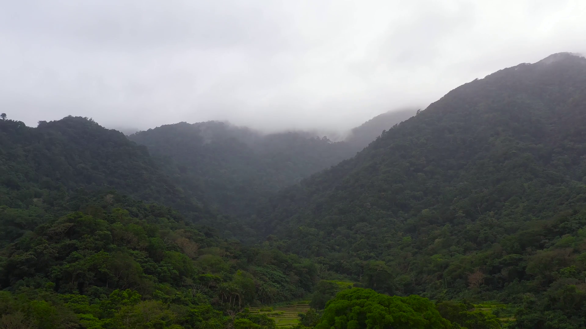 The Mountains Are Covered In Rainforest Stock Footage SBV-347739426 ...