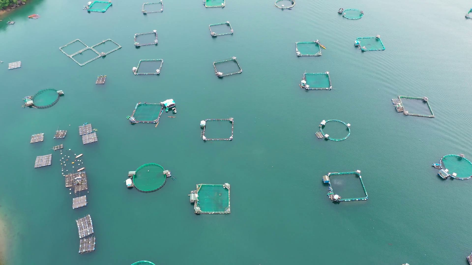 Fish Farm With Cages Fish Shrimp Top View Stock Footage SBV-347738275 ...