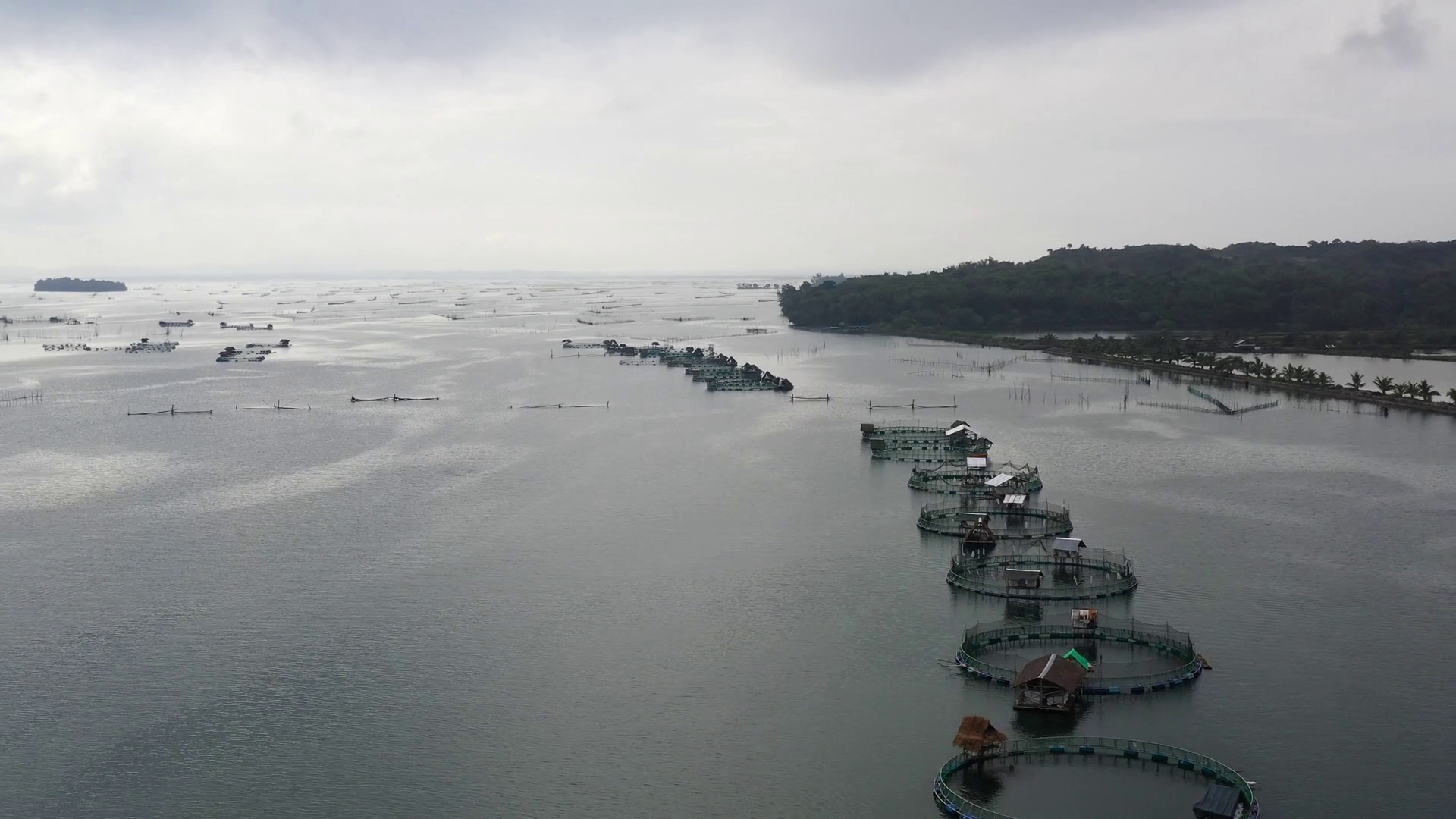 Aerial View Of Fish Ponds Bangus Milkfish Stock Footage SBV-347738302 ...