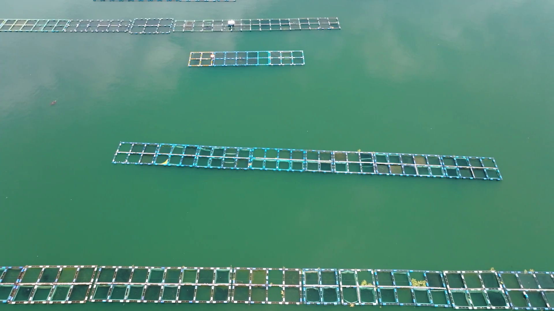 Aerial View Of Fish Farm With Cages Growing Stock Footage SBV-348579121 ...