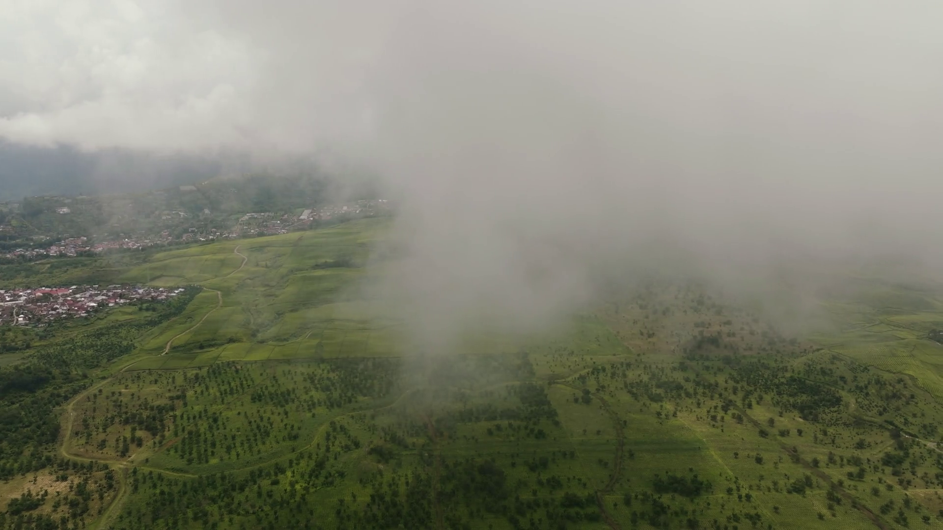 Aerial View Of Tea Estate In Sumatra View Stock Footage SBV-348579135 ...