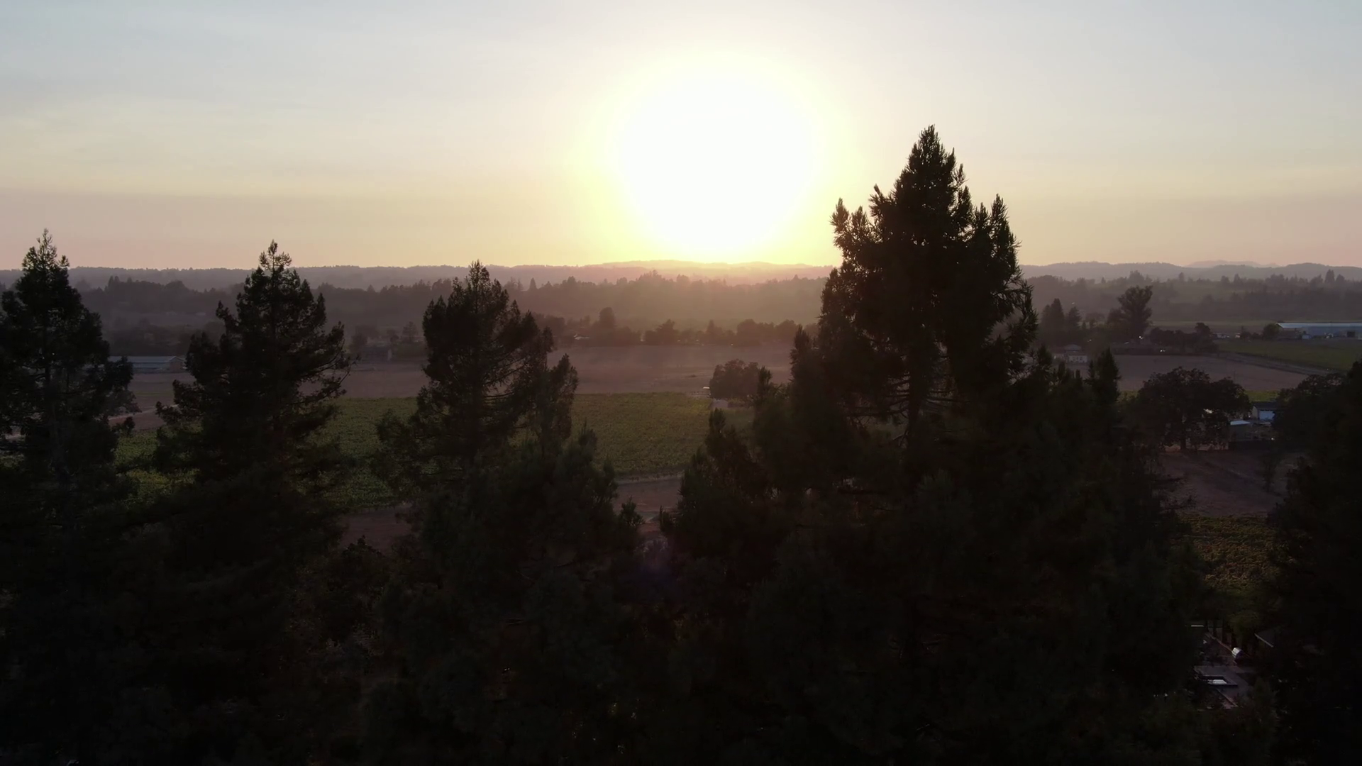 Santa Rosa California United States - Stock Footage SBV-346668187 ...