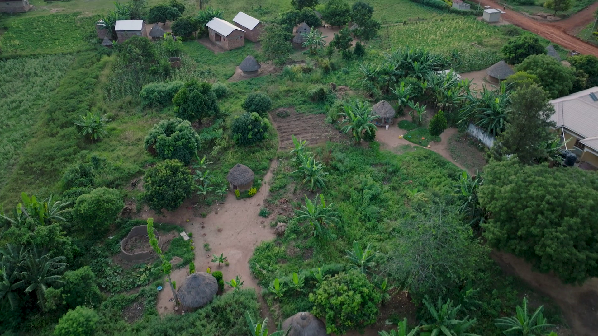 Aerial View Of Scattered Houses Amidst Lush Stock Footage SBV-353274647 ...