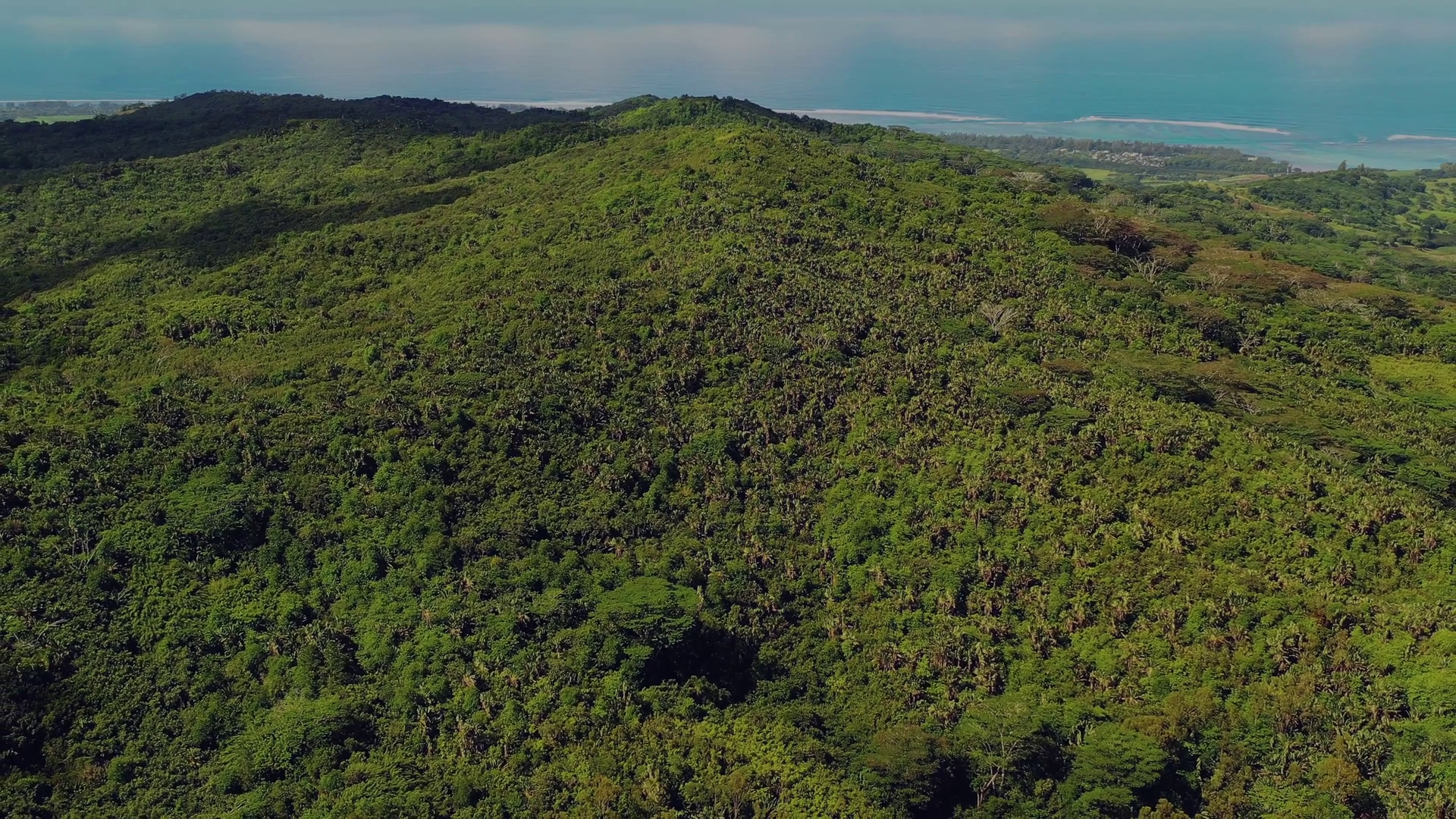 Aerial View Of Lush Chamarel Forest Stock Footage SBV-352888774 ...