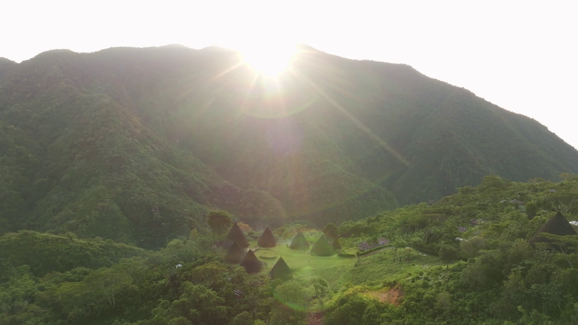 Aerial View Of Lush Village Forest At Stock Footage SBV-349041699 ...